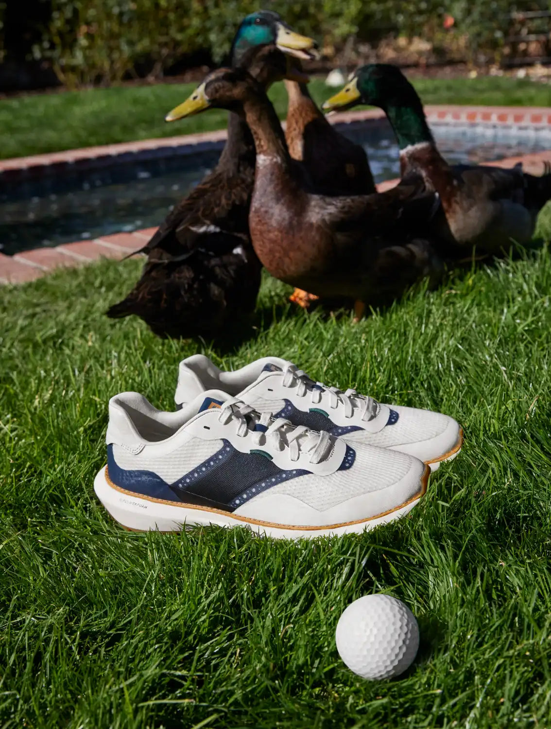 Мужчины – Cole Haan Uzbekistan